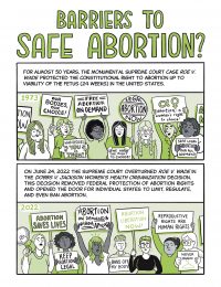 Read For Free! Abortion Pill Zine: A Community Guide to Misoprostol and ...