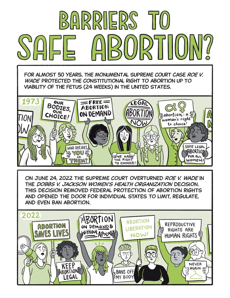 Read For Free! Abortion Pill Zine: A Community Guide to Misoprostol and ...